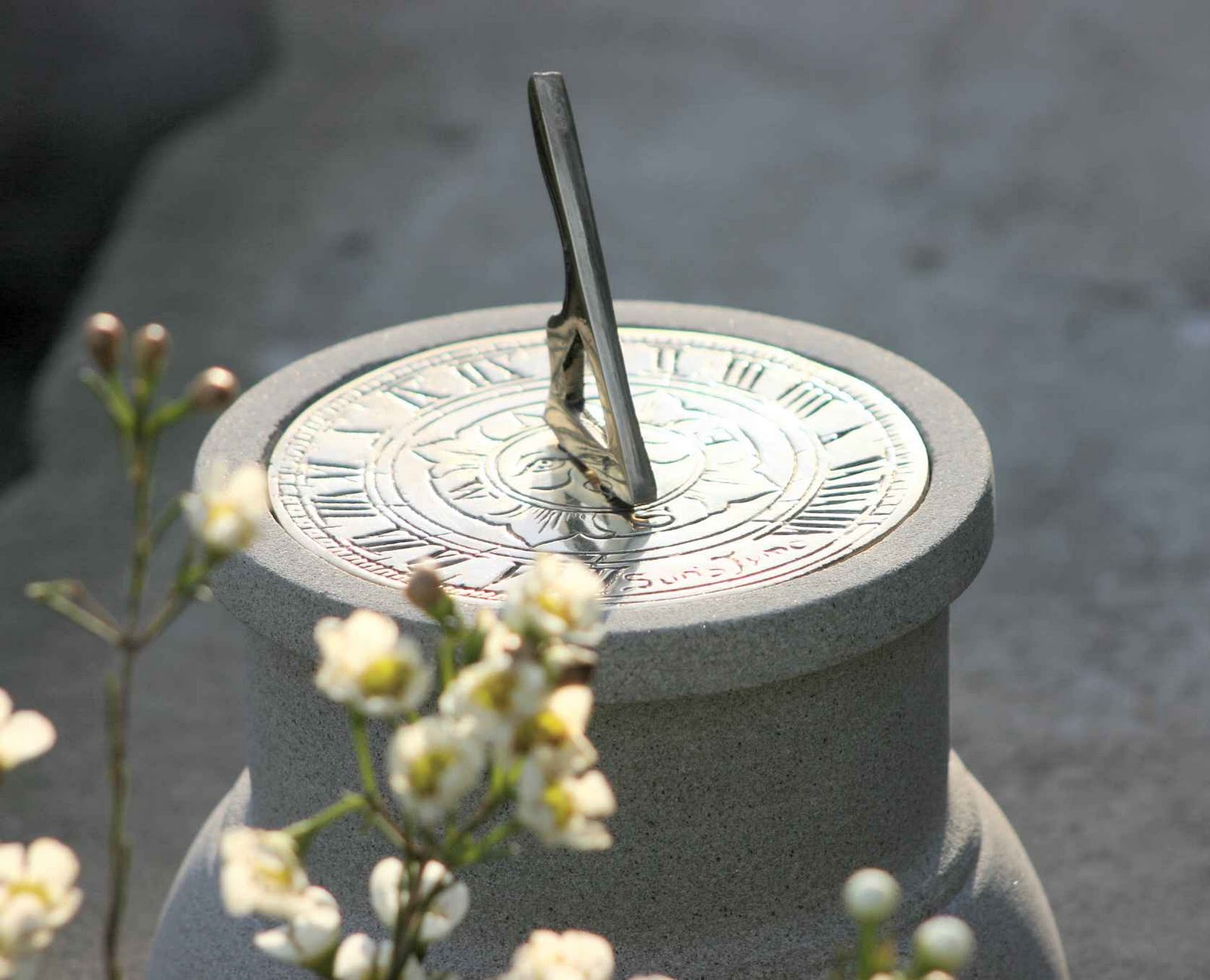 Living In A Different Time Zone Blog It With Kudums 