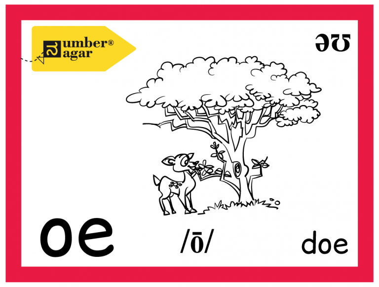 The many sounds of ‘oe’ - Blog it with Kudums™